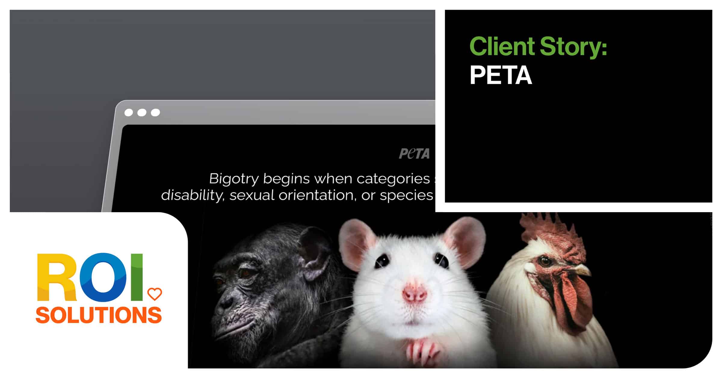 PETA Foundation Success Story | ROI Solutions